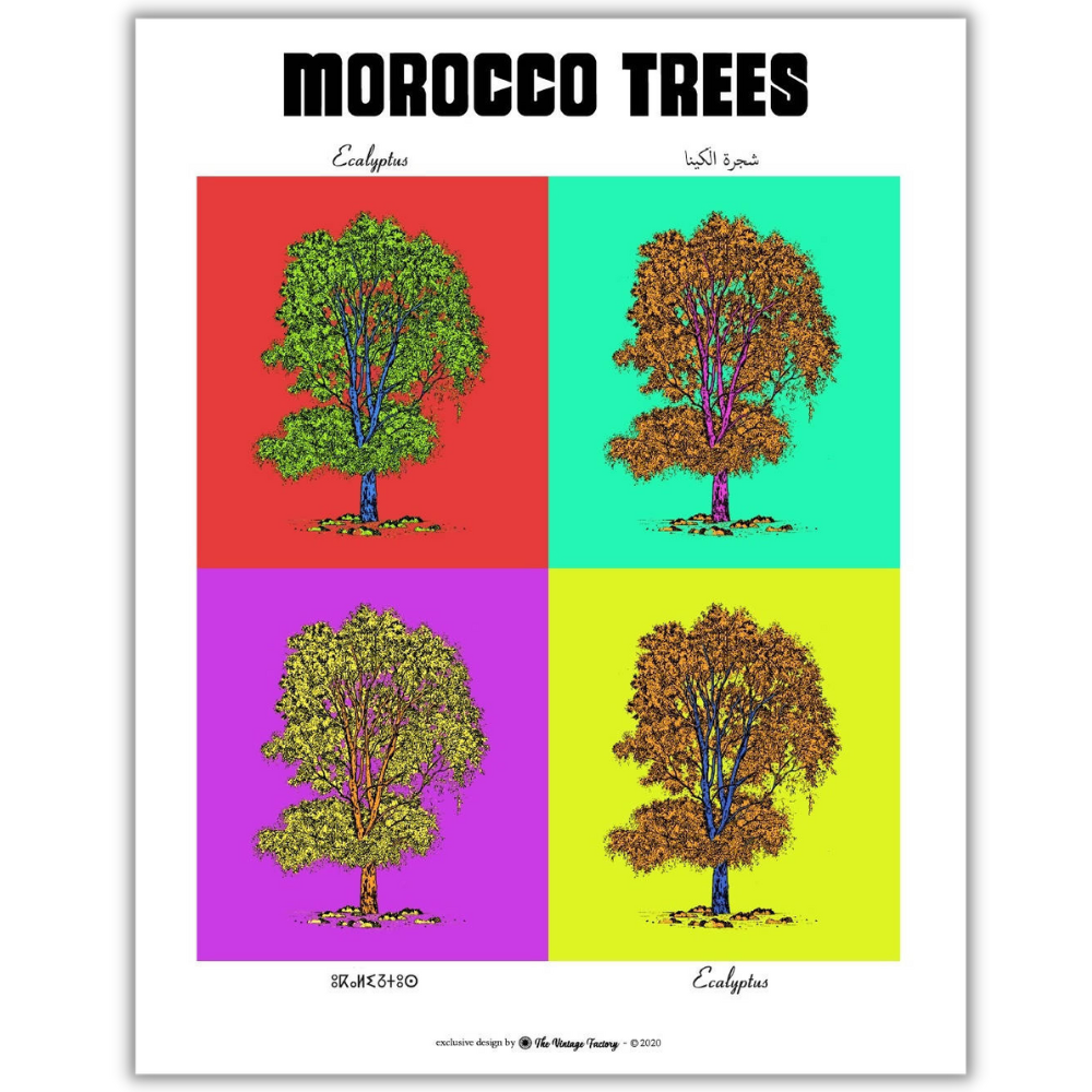 EUCALYPTUS Botanical board version POP POSTER – MyTindy