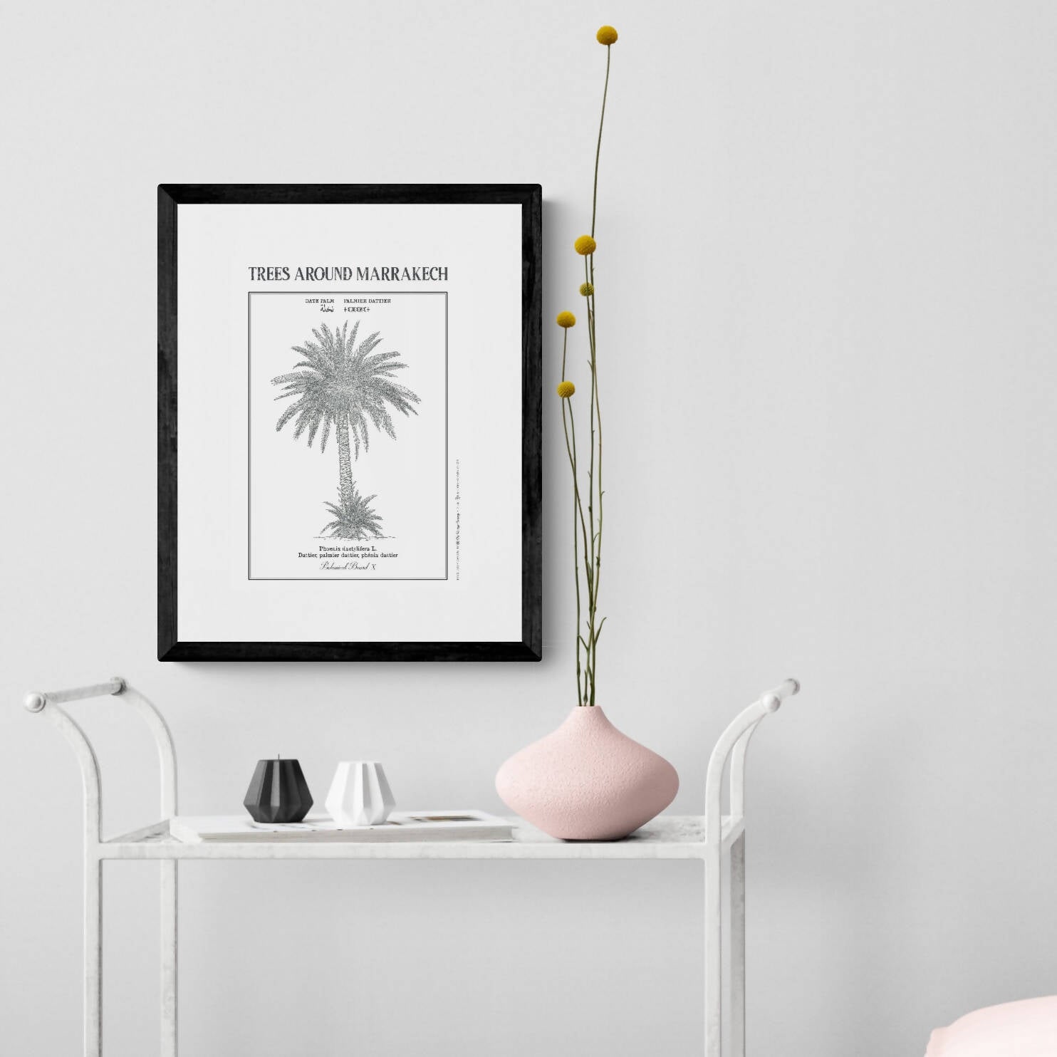 PALM TREE Botanical board – MyTindy